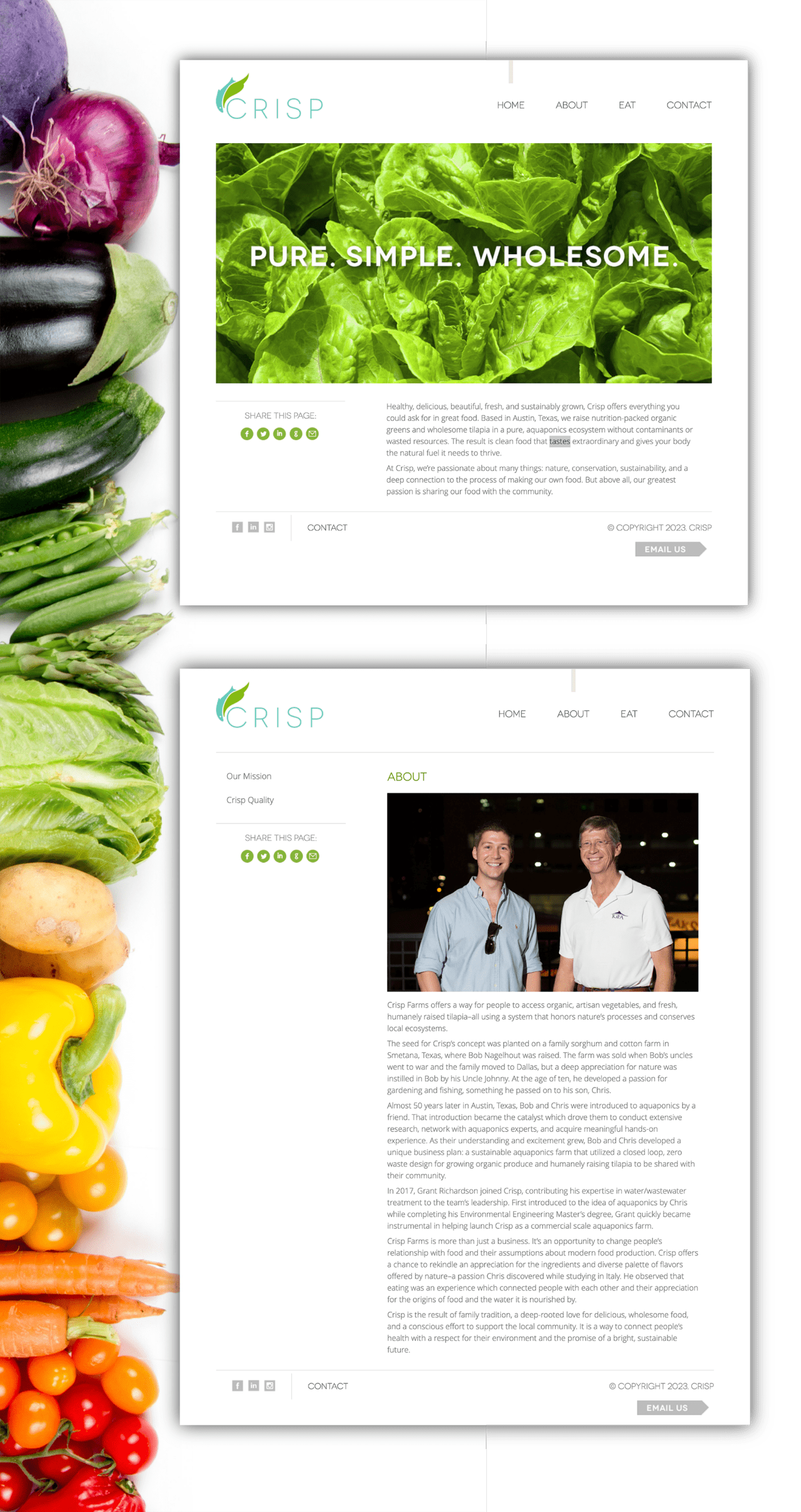 Crisp - Envision Creative