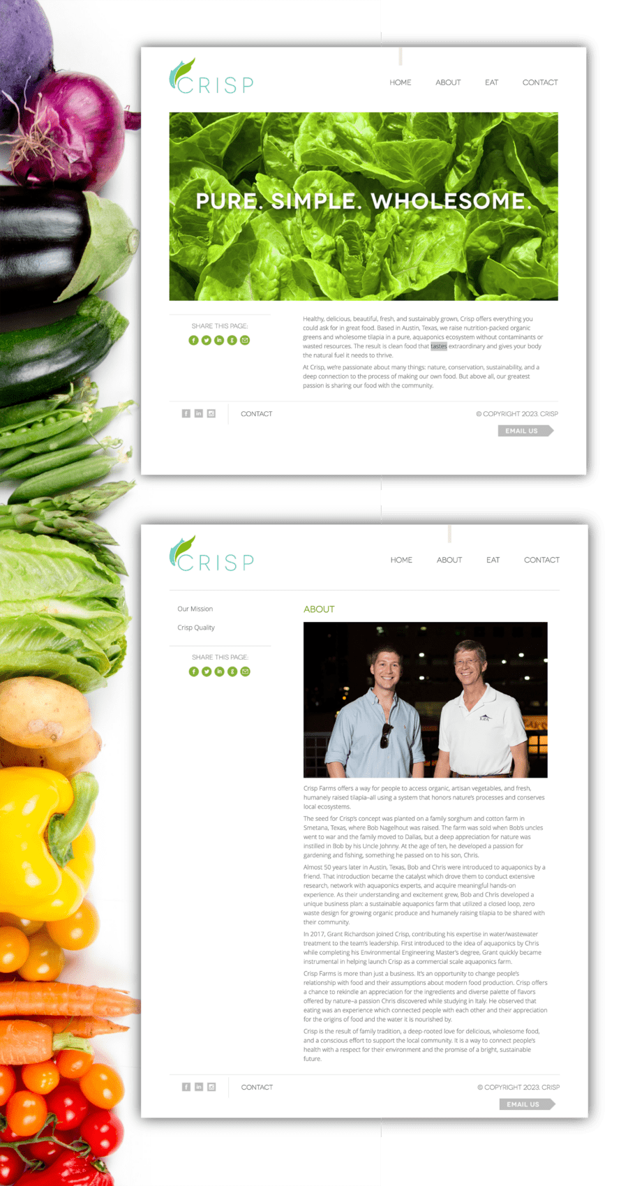 Crisp - Envision Creative