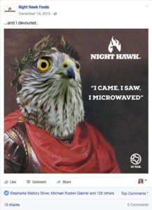 Night Hawk Frozen Foods - Envision Creative