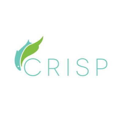 Crisp - Envision Creative