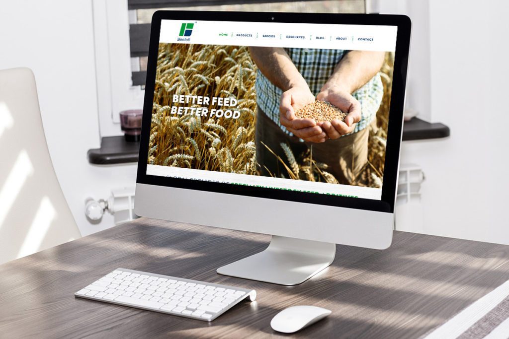 Bentoli - Envision Creative