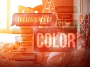 The Language of Color - Envision Creative