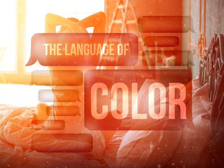 The Language of Color - Envision Creative