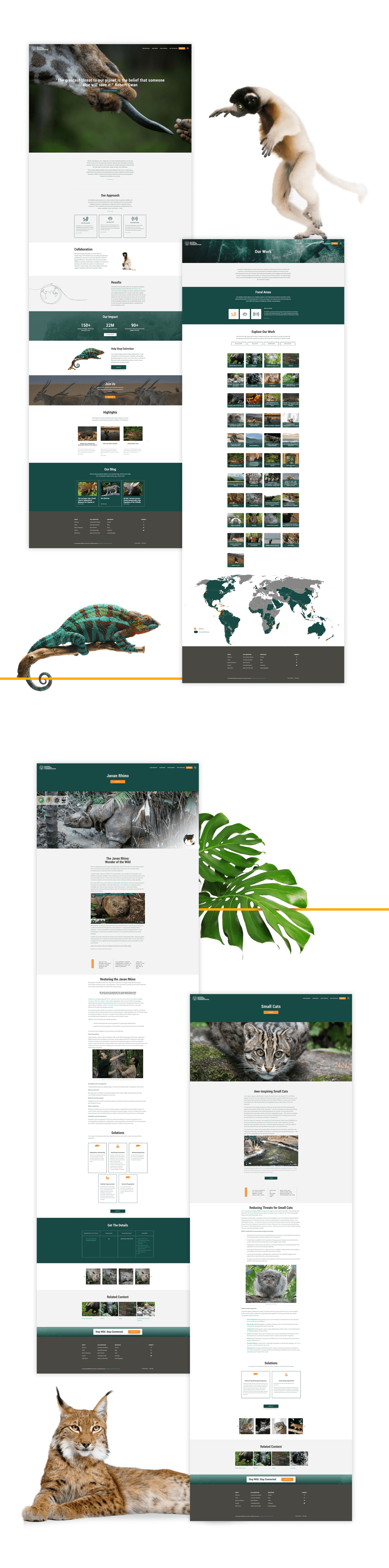 Global Wildlife Conservation - Envision Creative