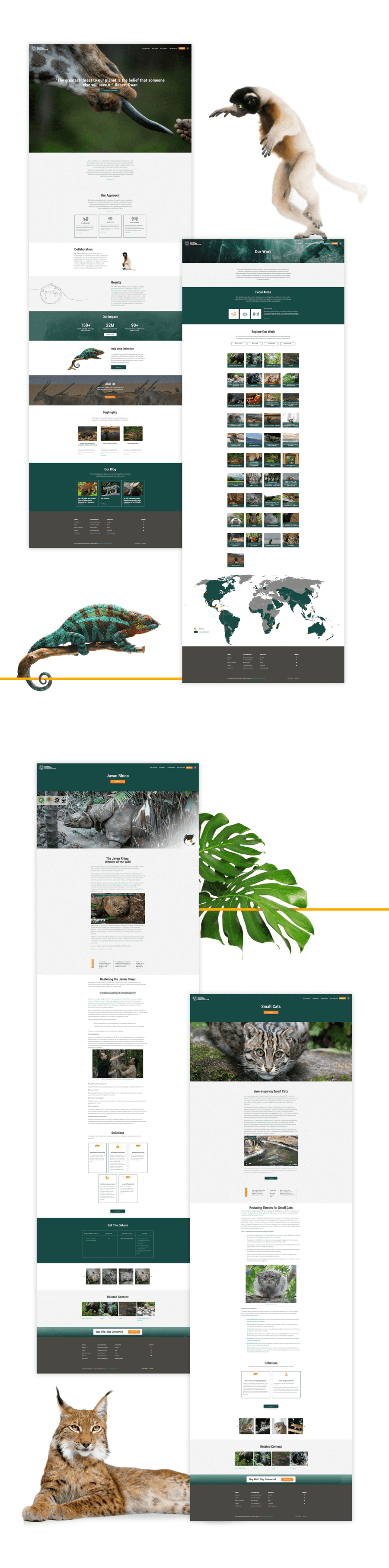 Global Wildlife Conservation - Envision Creative